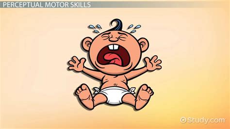 Image result for Perceptual Development Definition