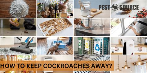 How to Keep Cockroaches Away? - Pest Source