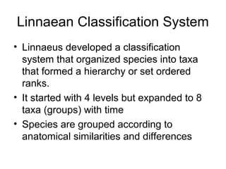 Image result for Linnaean Classification System Interactive Model
