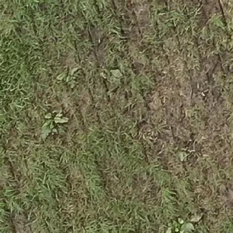 Image result for Weed Detection Using Python