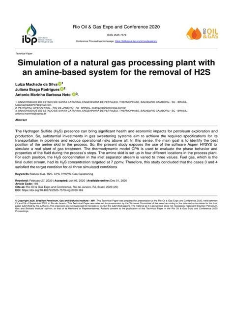 Image result for Natural Gas Processing Simulation Model