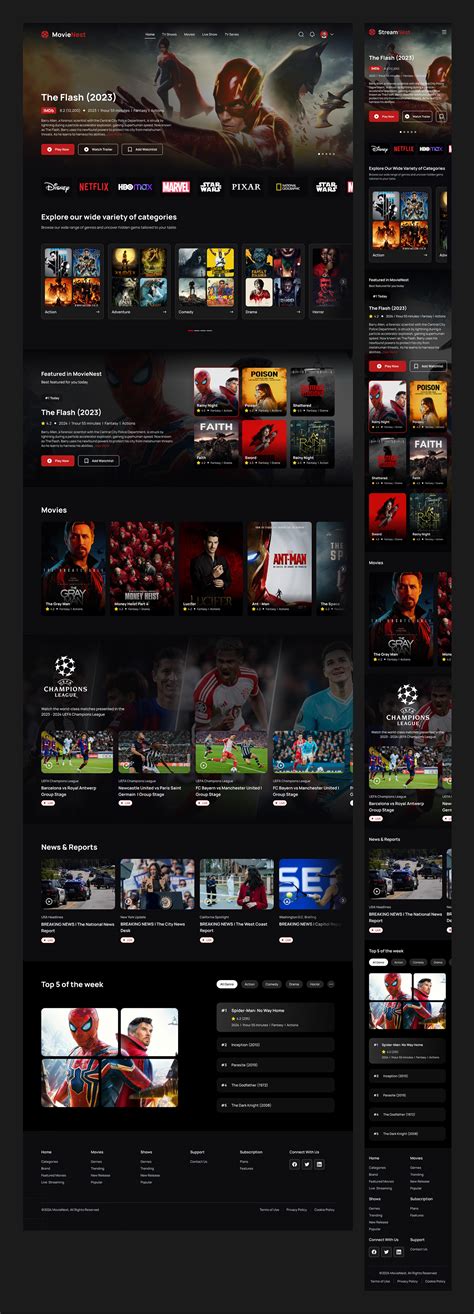 Image result for Video Streaming Website Source Code