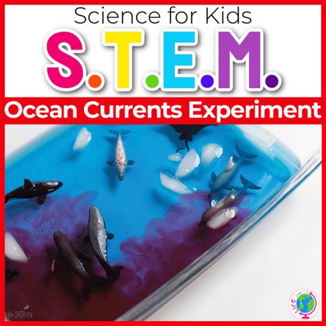 Image result for DIY Science Project Ocean Current Energy