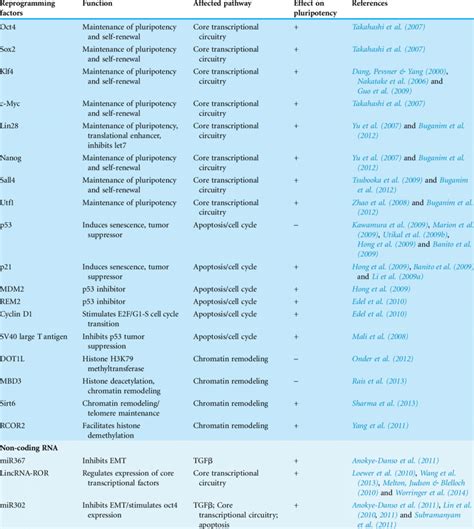 Image result for Reprogramming Factors