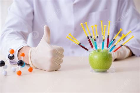 Image result for Human Body Food Lab