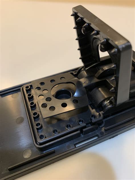 Image result for Tree Lizard Trap