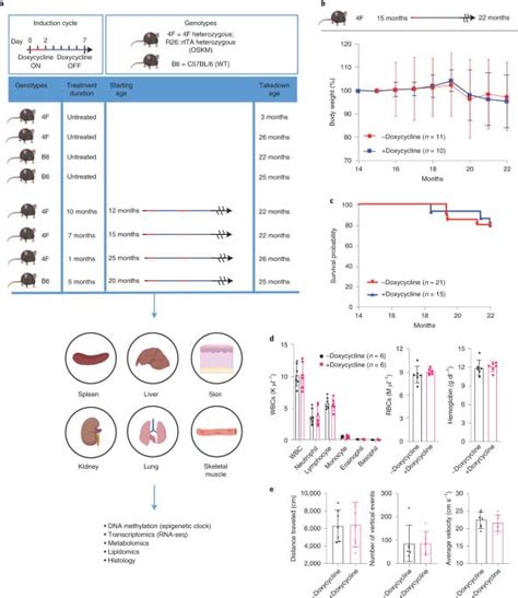 Image result for Partial Reprogramming