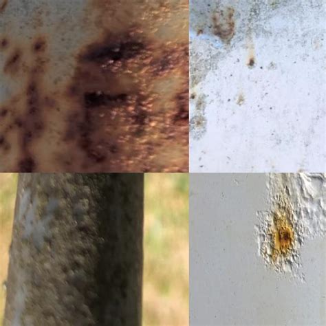 Image result for Rust Sense