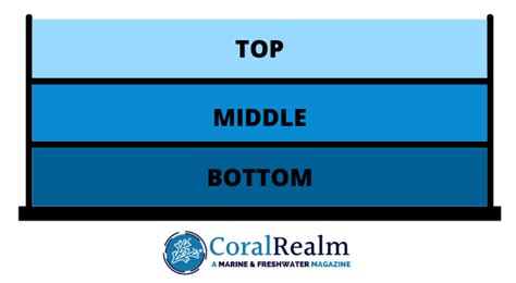 Image result for Water Column Example