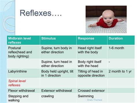 Image result for Primitive Reflexes Upper Extremity