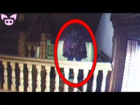 Image result for Paranormal Creatures Slapped Ham