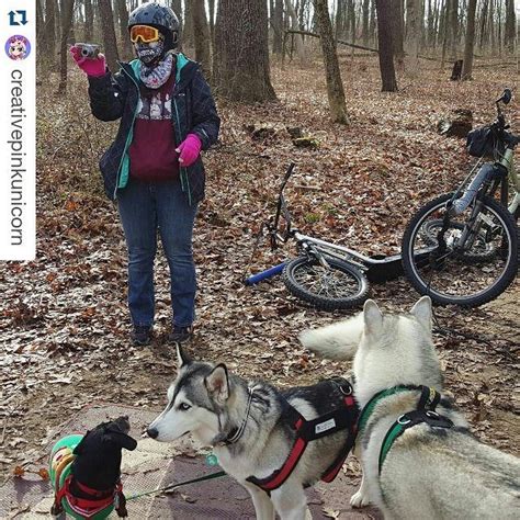 Image result for Snow Dogs Vlogs Mail