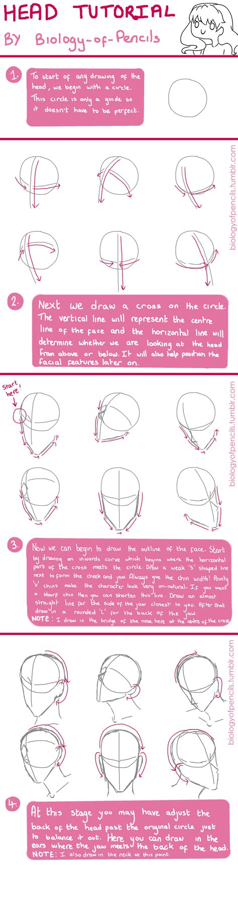 Image result for Anime Head Tutorial