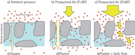Image result for Bubble Point Filter Integrity Test Chart Diffusion vs Pressure