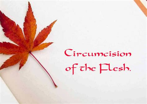 Image result for Genesis Chapter 17 Worksheet