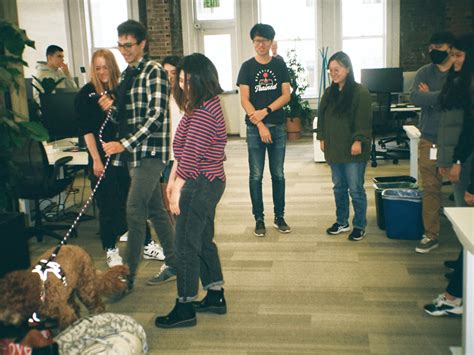 Image result for People Using Sigma Computing