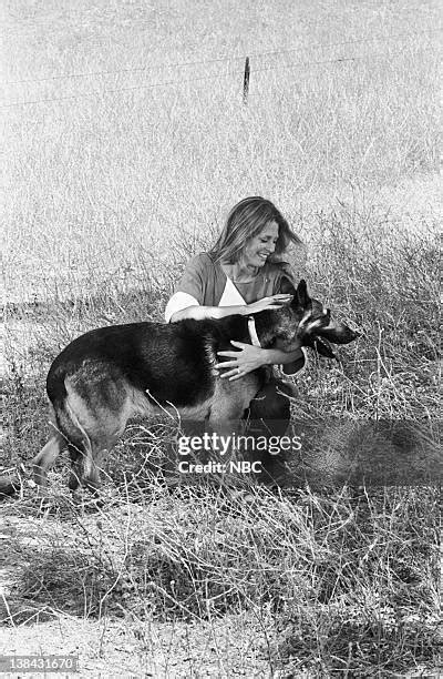 Image result for Bionic Woman Bionic Dog