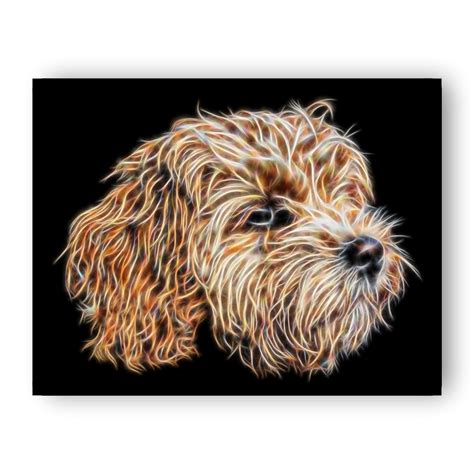 Image result for Apricot Cavapoo