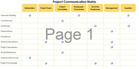 Image result for Project Communication Matrix Example
