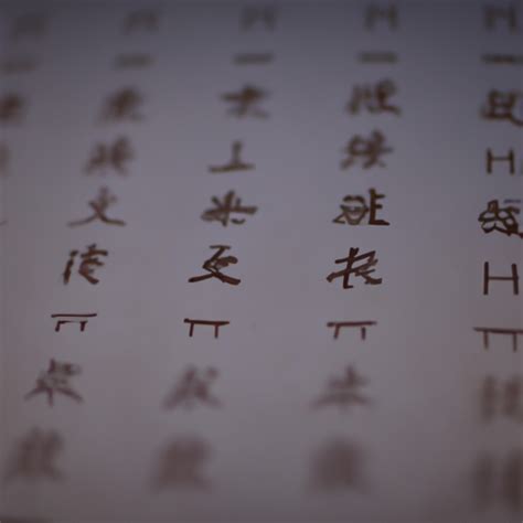 Image result for Oracle Bone Script to Modern Chinese Evolution