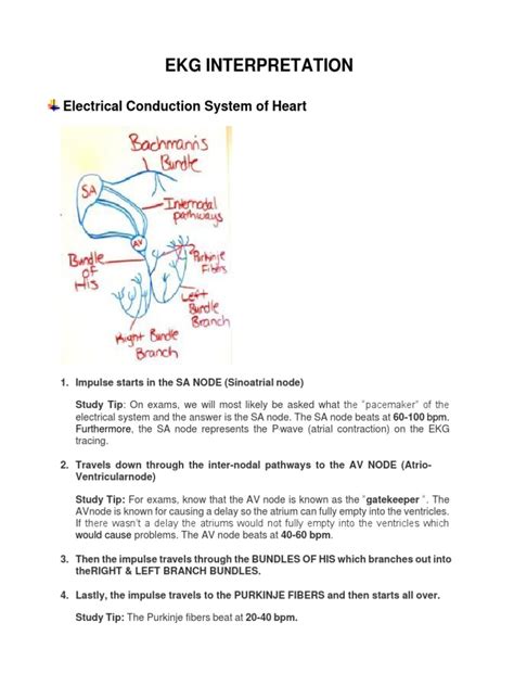 Image result for ECG Step by Step