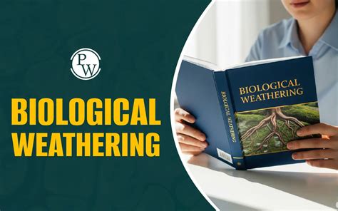Image result for Weathering Definition Science