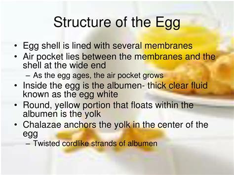 Image result for Egg How2basic