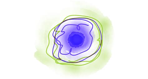 Image result for Edge Evolution