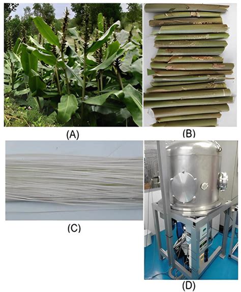 Image result for Coating TiO2 onto Celluolose Sponge