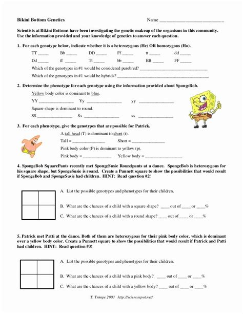 Image result for Human Genetics Worksheet Answers