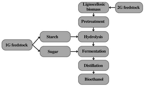 Image result for Bioethanol From Sugar Processing