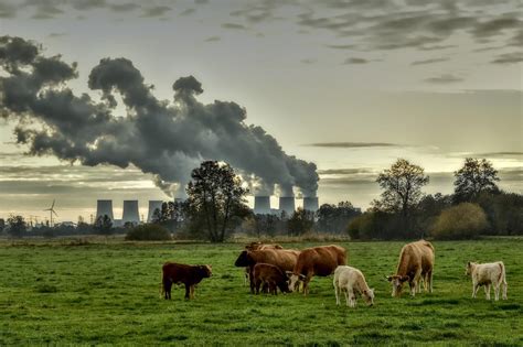 Image result for Pollution Example