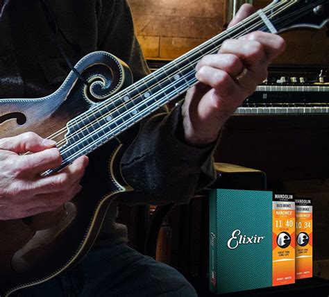 Image result for Nylon String Mandolin