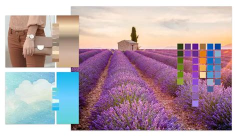 Image result for Corel Graphics Designs