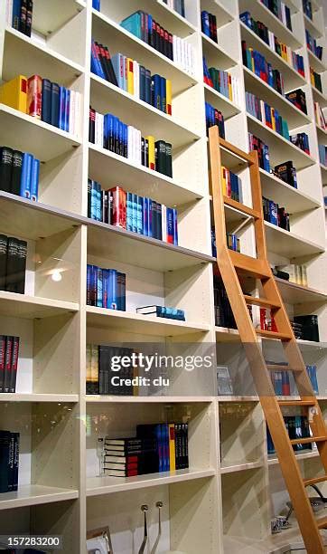 Image result for Library Ladder Climb