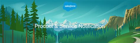 Image result for Salesforce API Version