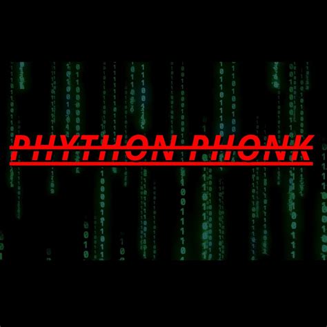 Image result for Python Phonk Meme