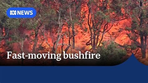 Image result for Perthi ABC