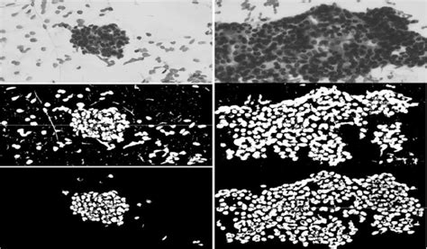 Image result for Texture Feature Extraction