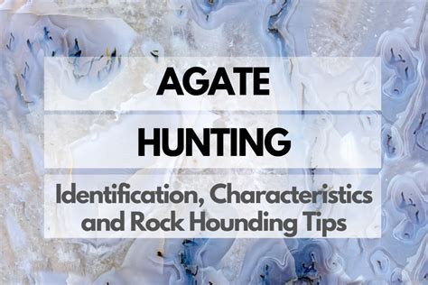 Image result for Agate Hunting Tips