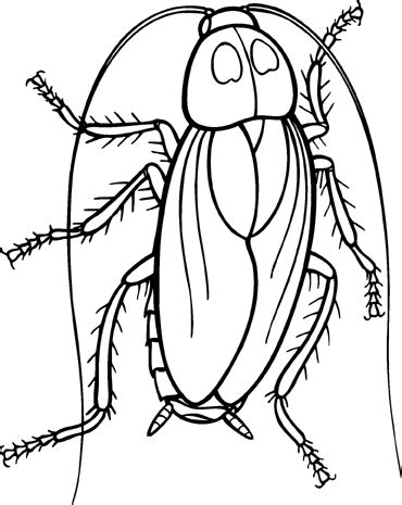 Cockroach clipart 2 - WikiClipArt