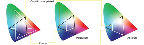 Image result for Relative vs Absolute Colorimetric Intent