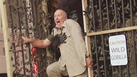 Image result for Exploding Animal Prank