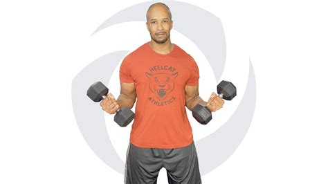 Image result for Arm Exercise Routine