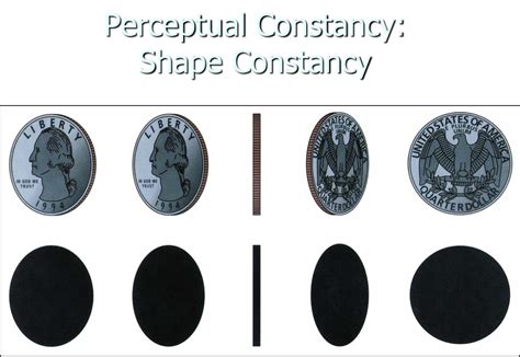 Image result for Perceptual Constancy Example