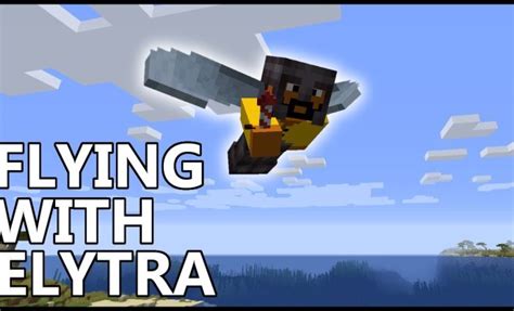 Image result for Elytra Guide