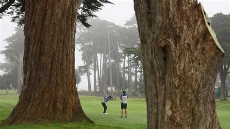 Image result for TPC Harding Park Golf Course