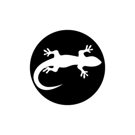 Image result for House Lizard Drawing