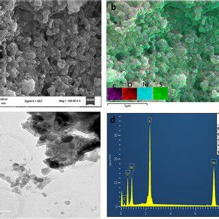 SEM (a), SEM EDX mapping (b), and TEM (c), and SEM EDX (d) of pristine ...