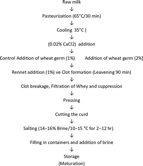 Image result for Cheese Making Process Schematic Layout